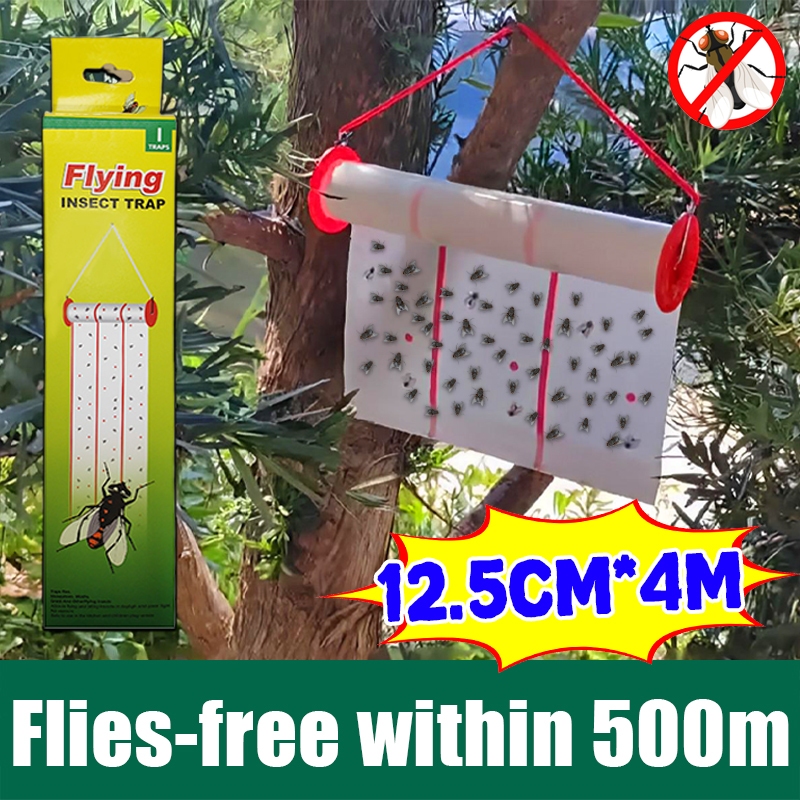 Longer more durable BS Fly trap Flies trap sticky Fruit fly trap ...