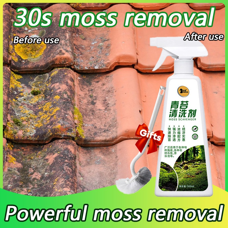 Powerful moss removal moss remover for cement 500ml Free Moss Brush ...