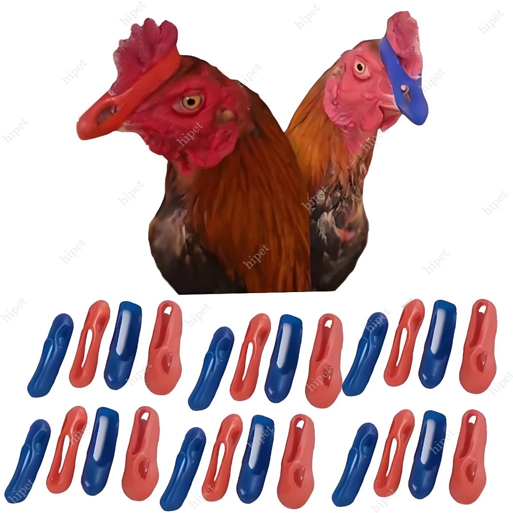 Gamefowl mouth gloves for cockfighting Chicken beak wrap Rooster beak ...