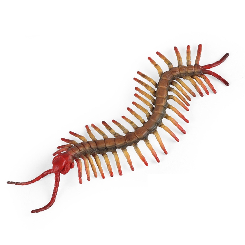 Simulation of wild animal models centipede dragons centipedes ...
