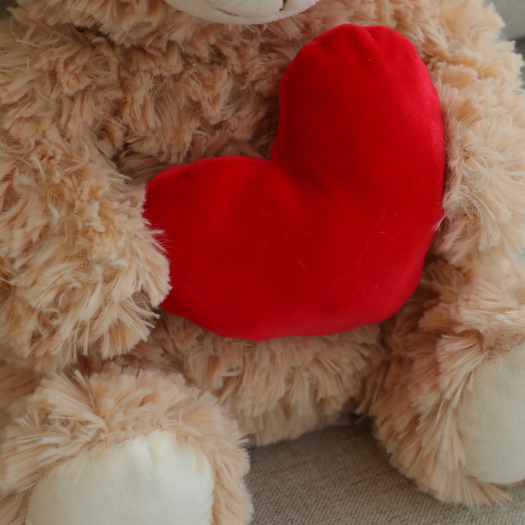 MINISO The Brown Teddy Bear Plush Toy, Heart Holding Doll Stuffed ...