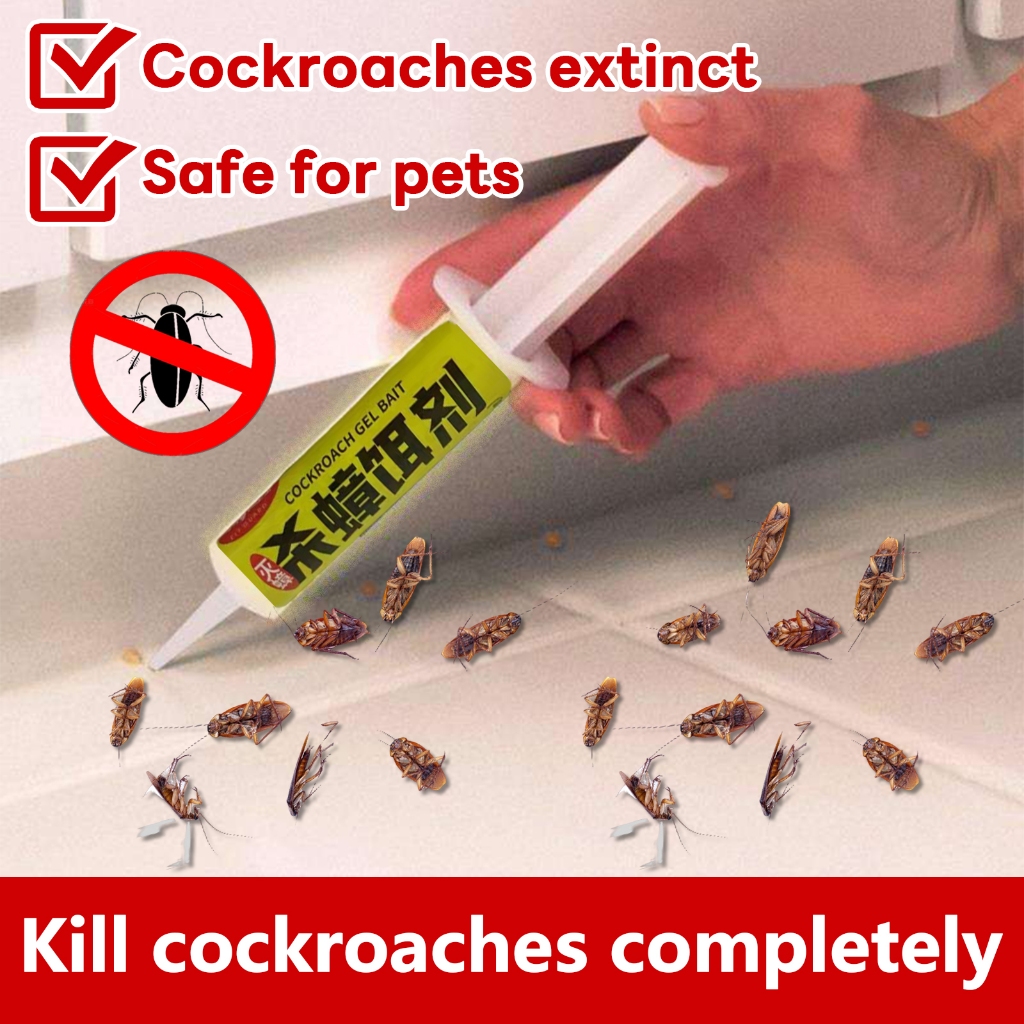 Kill all cockroaches in 6h KAMI Cockroach bait Cockroach killer ...