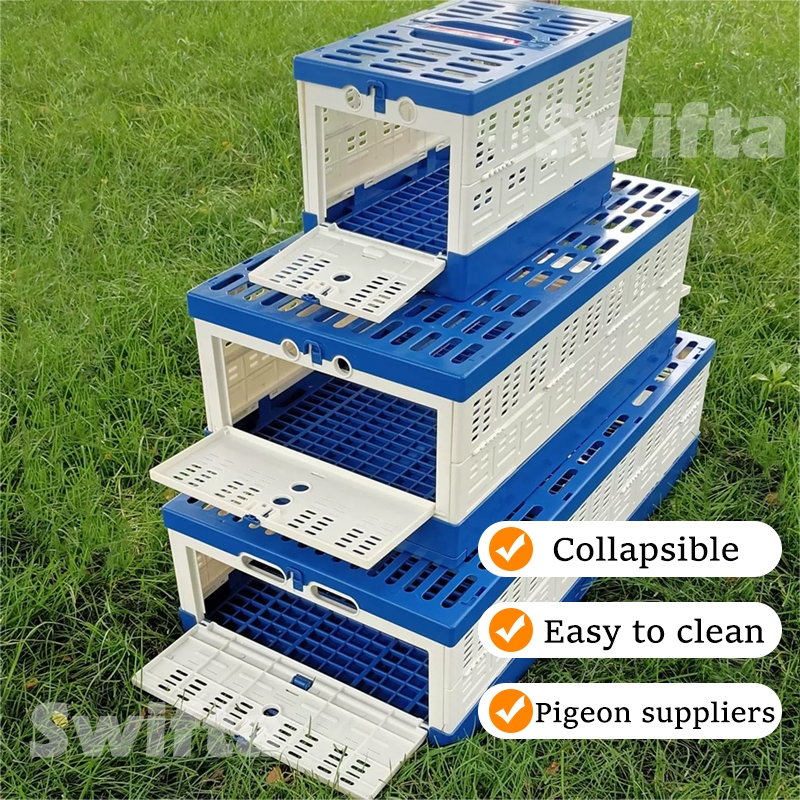 Foldable pigeon birds cage Training box Pigeon foldable training box ...