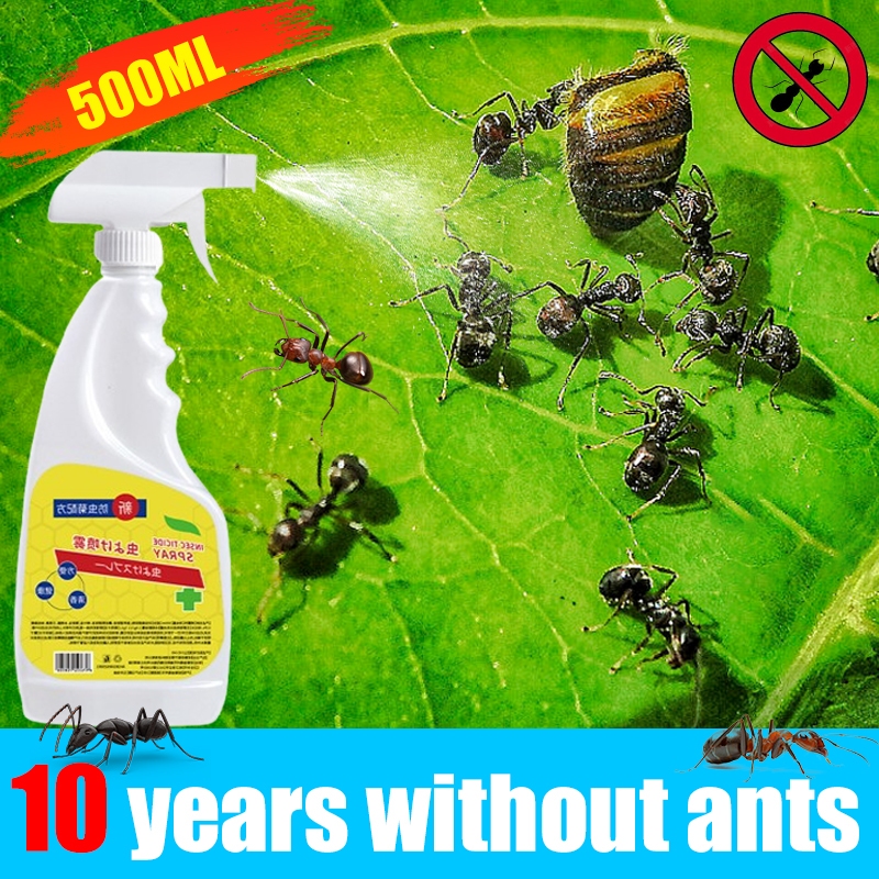 10 years without ants GB ant spray killer anay killer spray ant killer ...