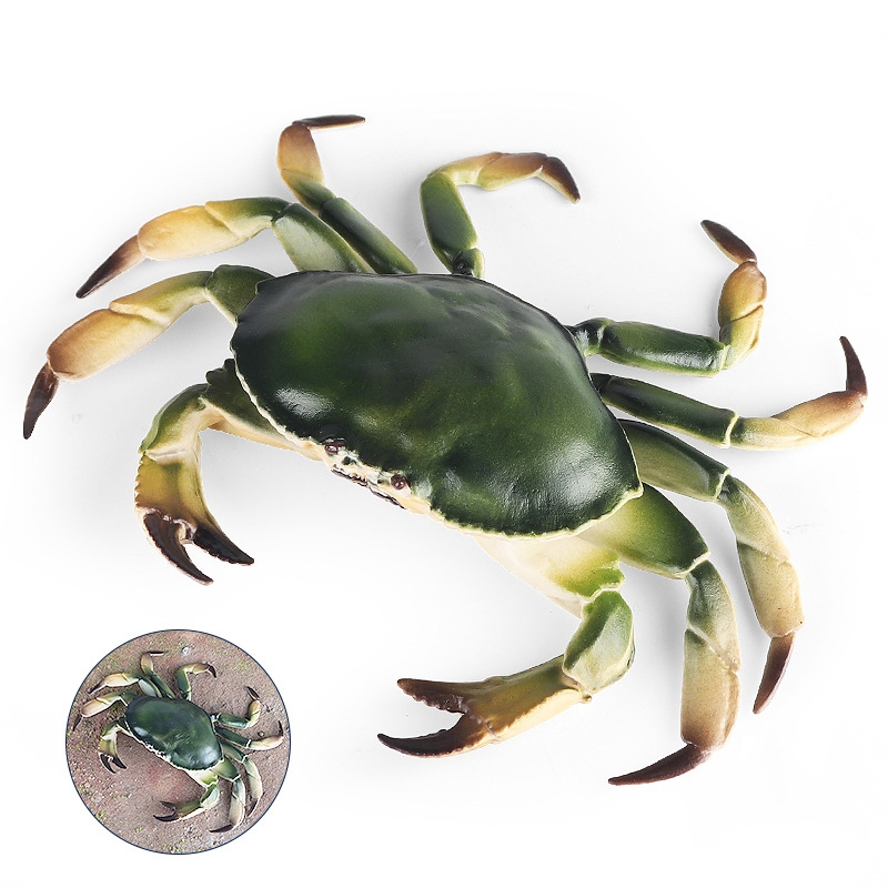 Simulated crab fake swimming crab spider crab hairy crab model marine ...
