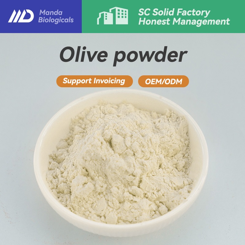 Wholesale bulk natural Green Fruit Extract Powder/Olive Fruit Extract ...