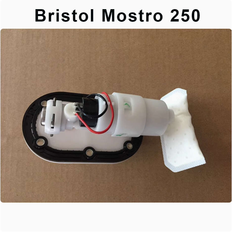 Bristol Mostro 250 Fuel Pump Set with Filter | Shopee Philippines