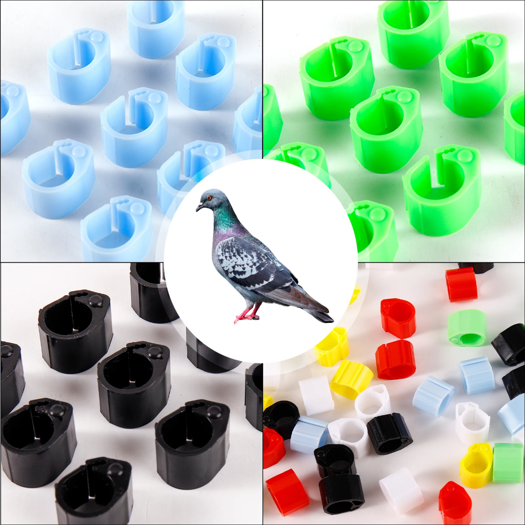 60Pcs Simulation Pigeon Foot Ring ID8mm Can install electronic chips ...
