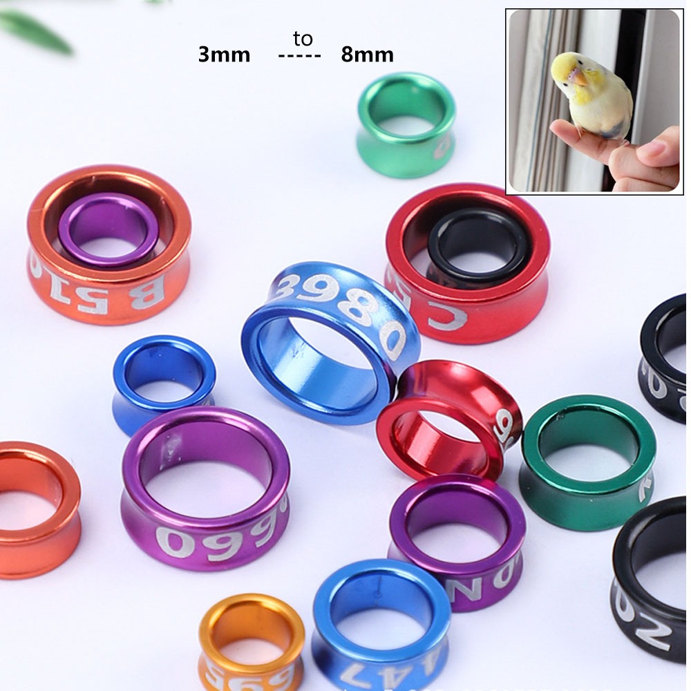 20pcs/5 PCS birds foot ring 3mm/4mm/5mm/6mm/7/8mm for African Birds ...