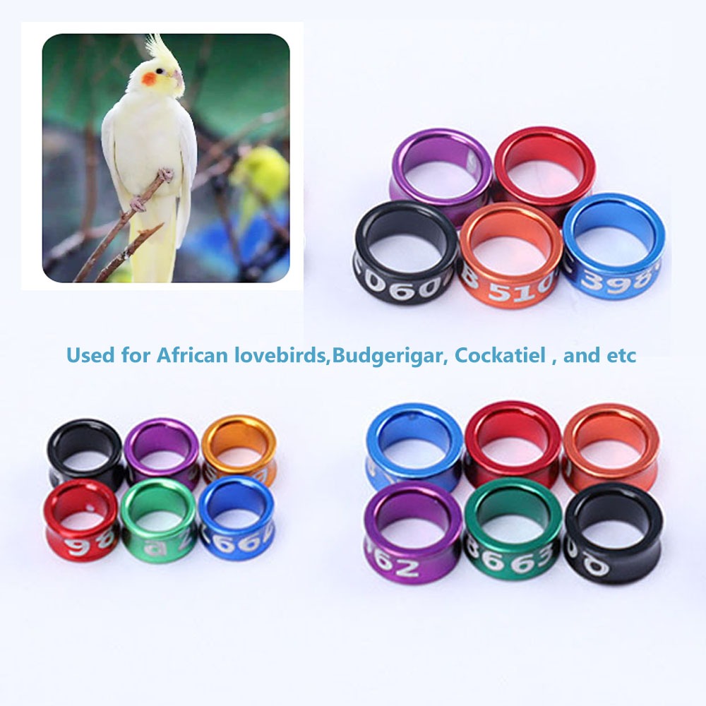 10 pcs love bird foot ring 3mm/4mm/5mm/6mm/7mm/8mm Budgerigar foot ring ...