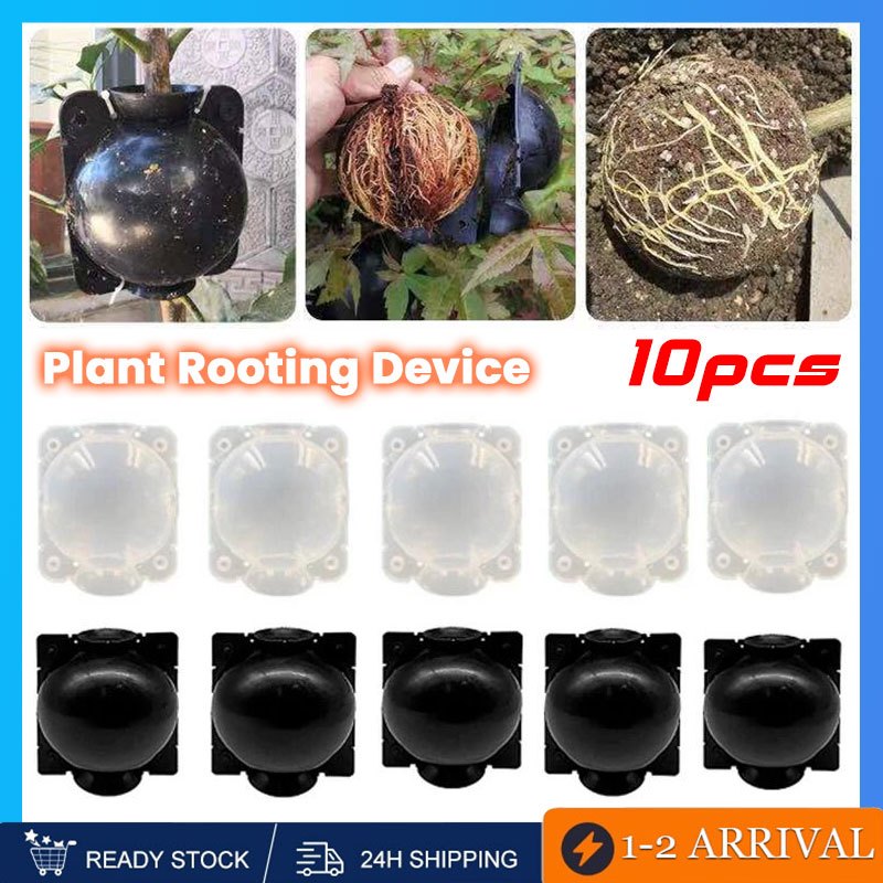 10Pcs Plant Rooting Device Cutting Grafting Rooting Ball Garden Nursery ...