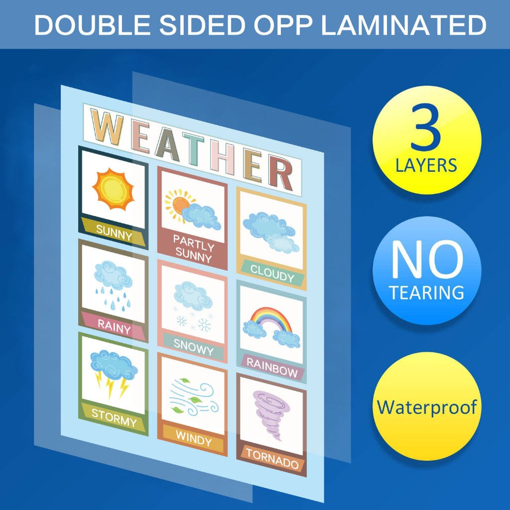 NIKO 12PCS Early Educational Chart For Kids Toddlers Learning Number ...