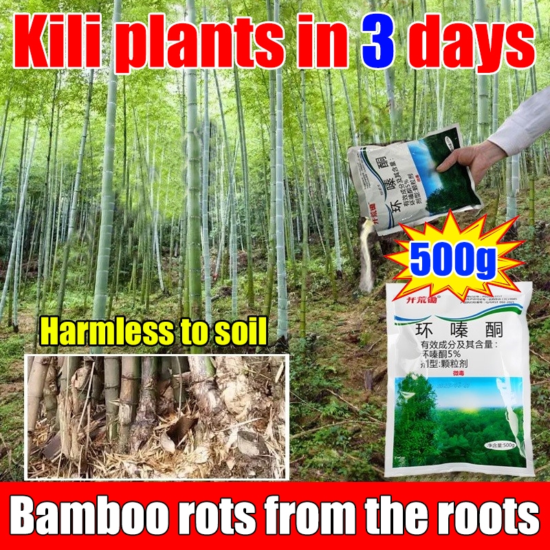 Root Rot Authentic Giant Tree Killer Powder Contains 5% Hexazone Easily ...