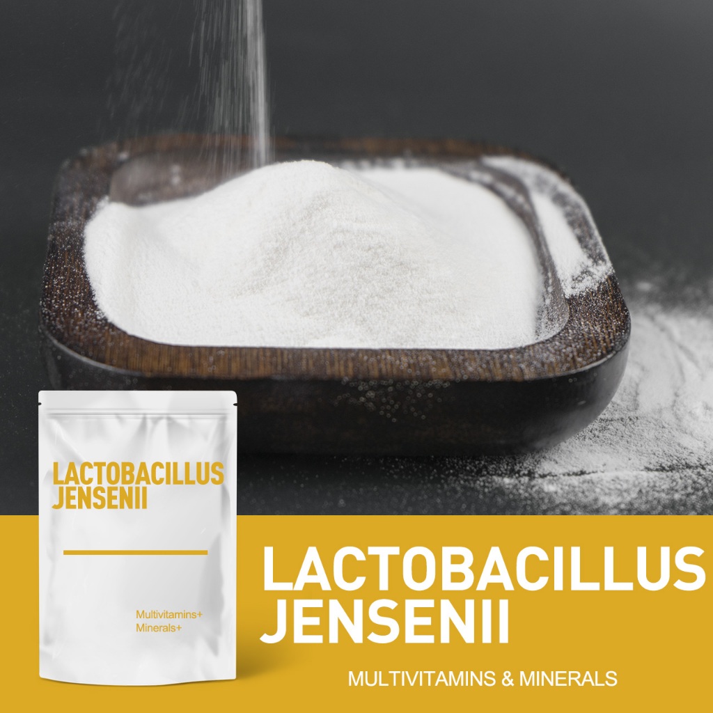 lactobacillus bulgaricus powder 100 billion cfu/g active probiotic ...