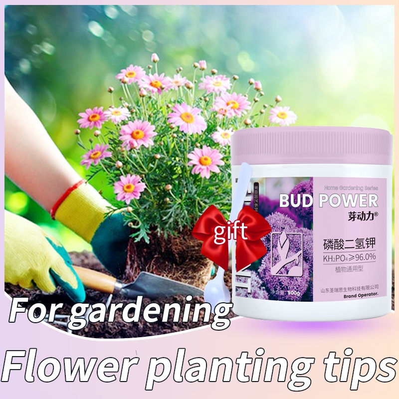 Blooming Powder For Plants 500 G From Japan Orchids Blooming Fertilizer ...