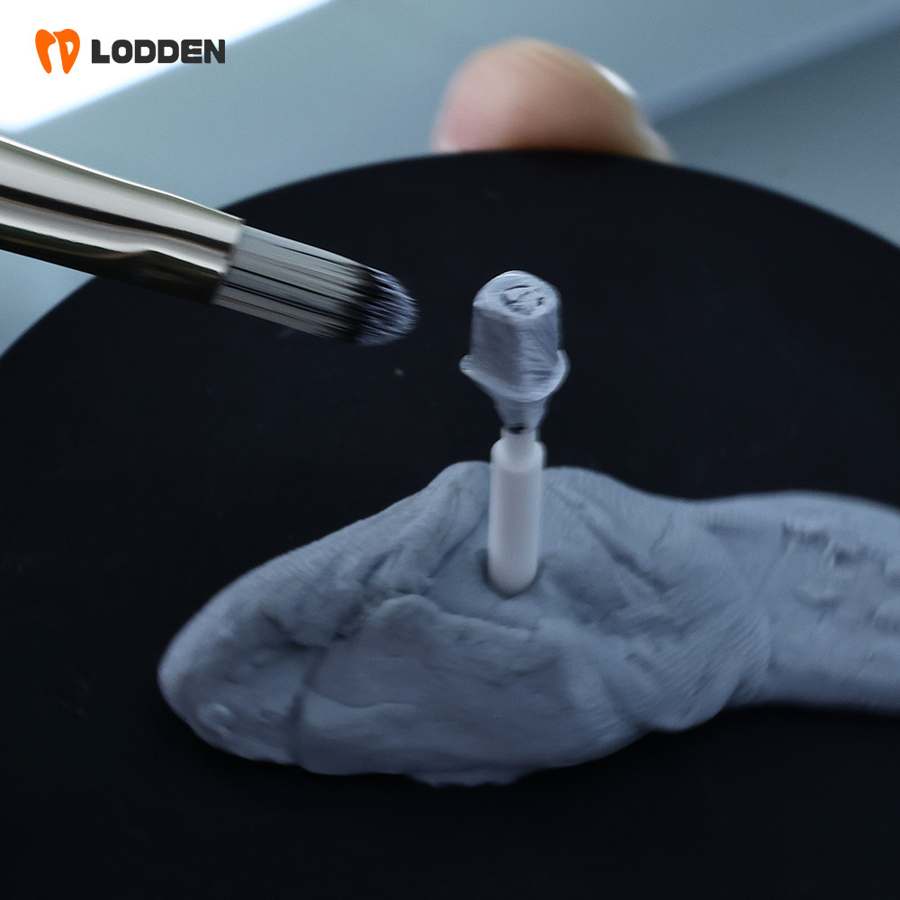 Lodden Dental Scanning Powder Denture 3D Imaging Agent Imaging Powder ...
