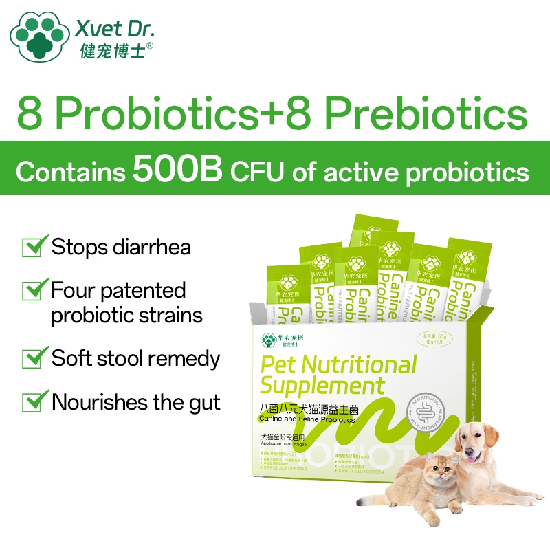 [Local Delivery]Xvet Dr Probiotic and Prebiotic for Dog Cat Pet ...