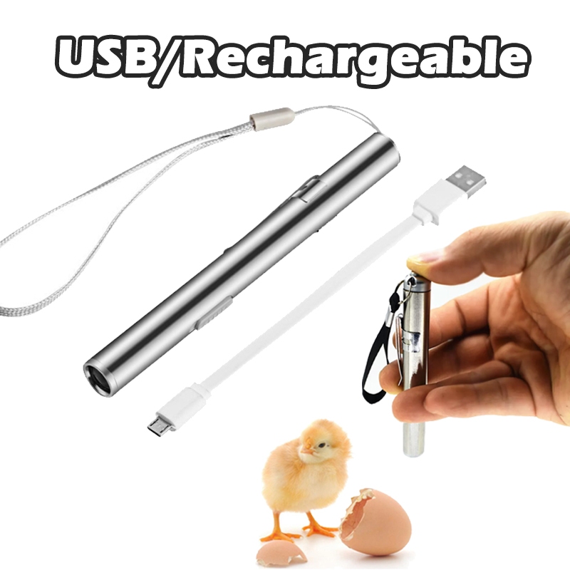 Egg incubator candling lamp LED pen light flashlight USB Rechargeable ...