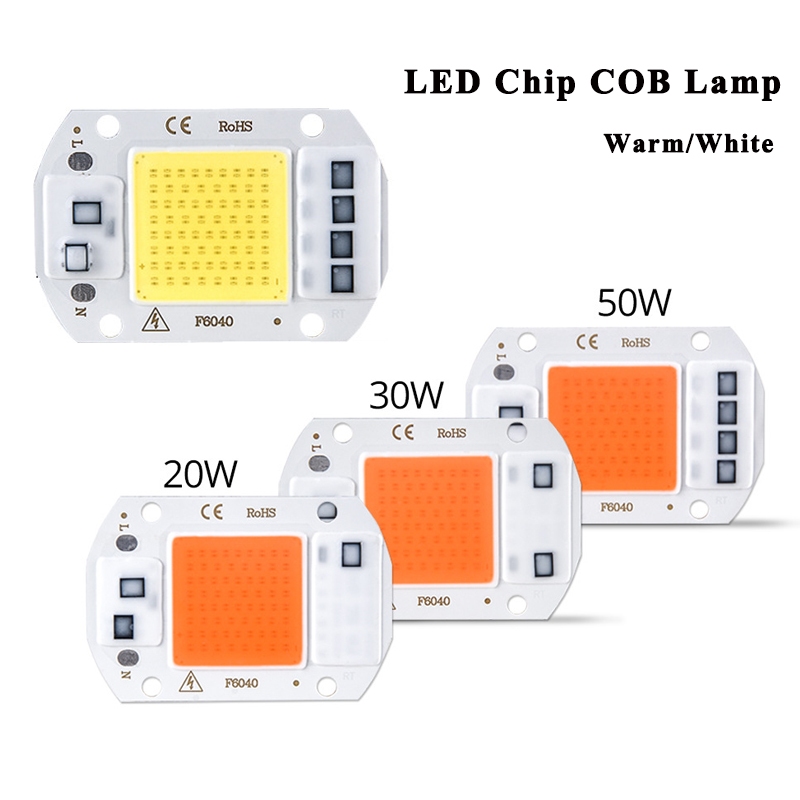 20W 30W 50W LED Chip COB lamp AC 220V Smart IC No Need Driver DIY Flood light Led Bulb Spotlight ...
