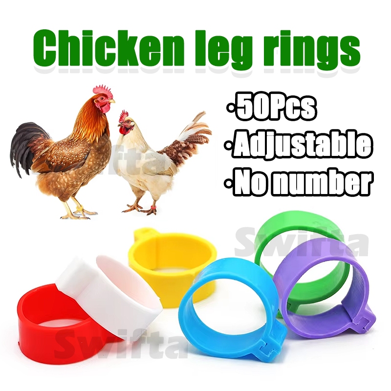 50Pcs 16mm Chicken ring Multiple color Chicken leg rings Identification ...