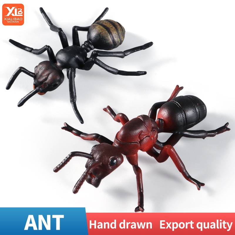 Realistic Animal Figures Red Ant Figurines Insect Toy, Science Project ...