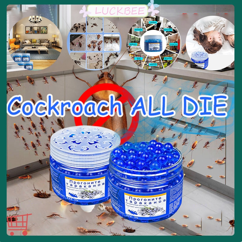 Cockroaches repellent Cockroaches killer 120g Safe and non-toxic ...