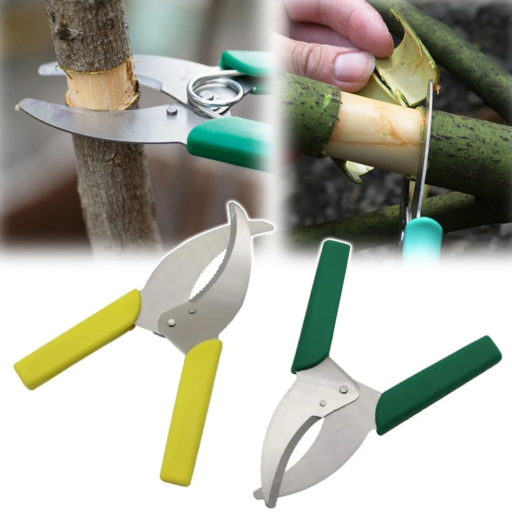 1 Pc grafting cutting scissors gardening ring grafting knife orchard ...