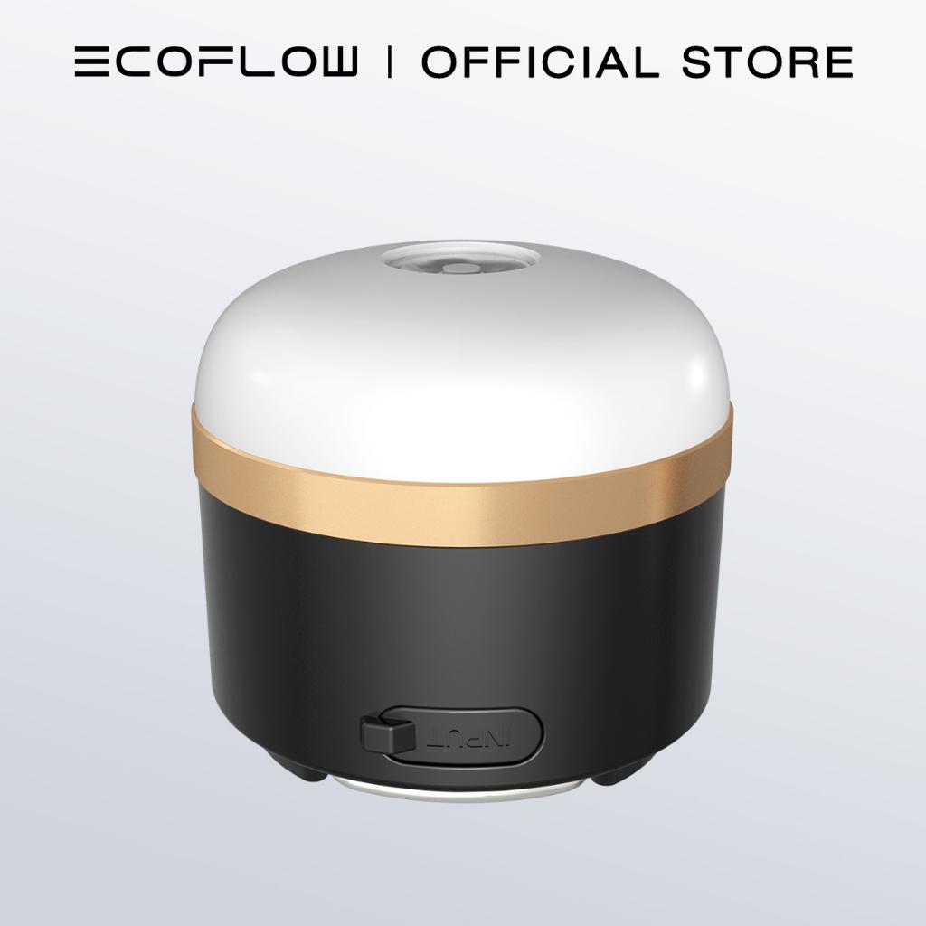 Ecoflow Camping Light for Emergency Power, Camping, Motor Homes, Home ...