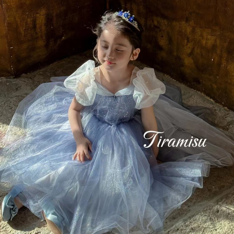 Kids Girl Elsa Dress Fluffy Princess Dress In Blue Shiny Frozen Costume ...