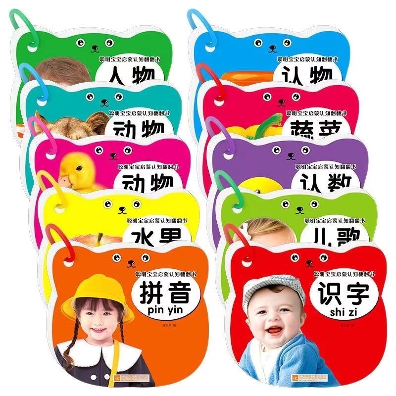 【10 Set】Baby Literacy Flash Card Hanyu Hanzi Pinyin Flashcards Children ...