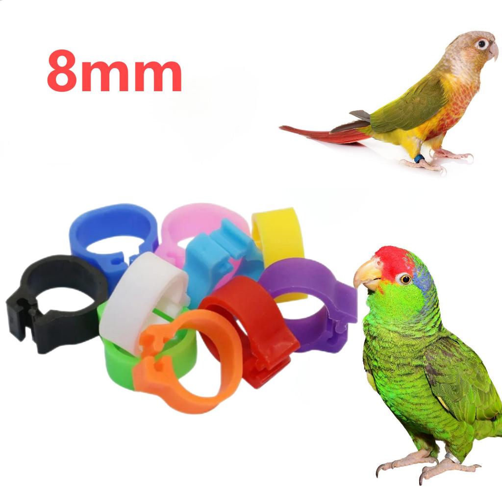 10/100 Pcs Bird Foot Ring Inner Diameter 8mm Bayonet Identification ...