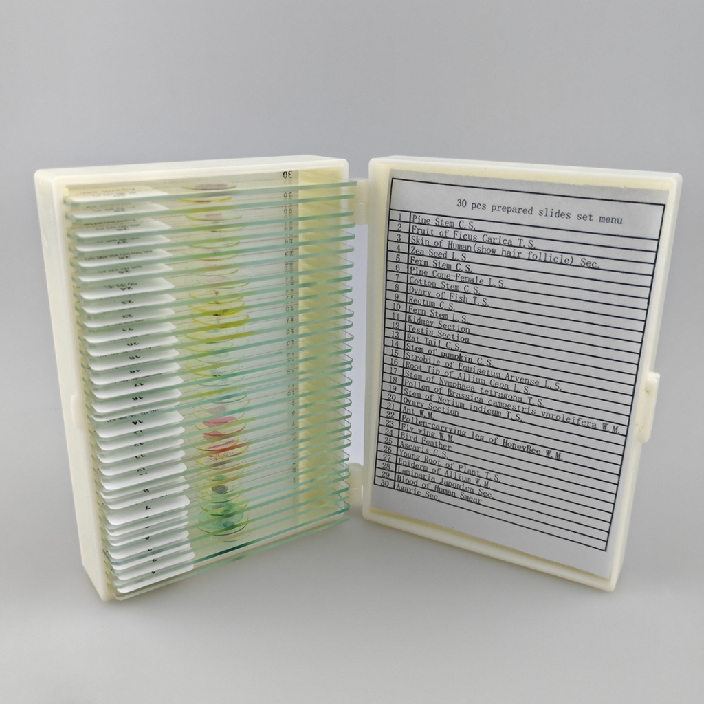 30PCS/Set Biological Prepared Slides Tissues Specimen Slices Science ...