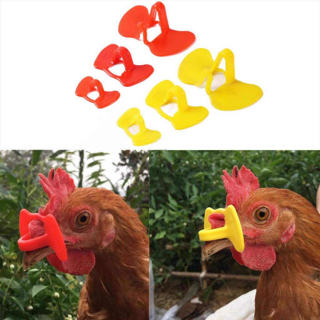 30/40/50 Pcs Chicken Glasses Plastic Boltless Anti-pecking Glasses 3 ...
