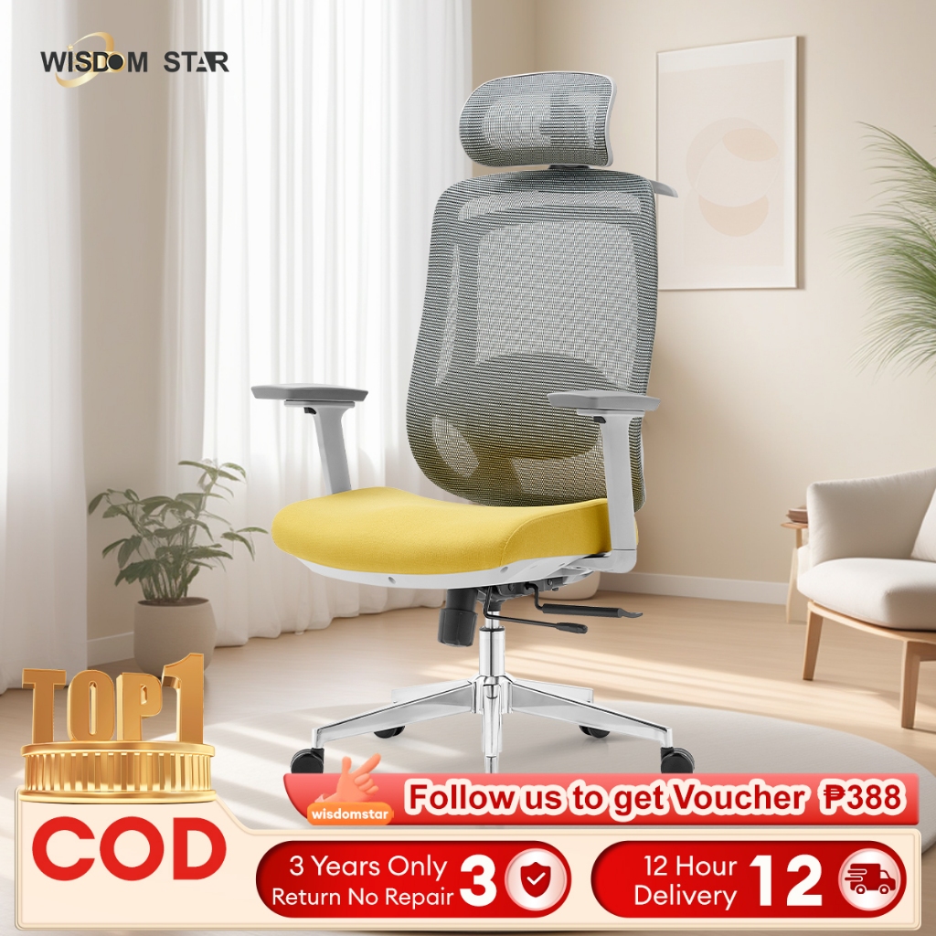 Wisdom Star Aesthetic chair inplay chair Ergonomic Chair Home Office ...