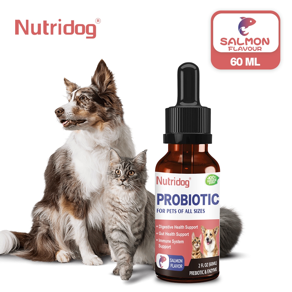 Nutridog - Probiotic drops for dogs can relieve dog's discomfort and ...