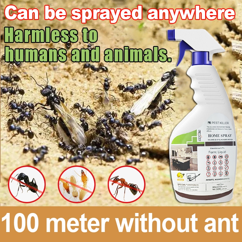 Ant Exterminator FT Ant killer Ant spray killer Ant killer spray Ant ...