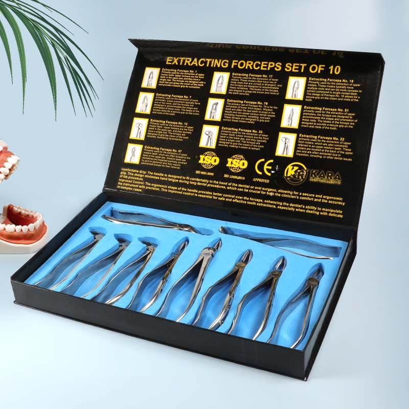 10Pcs/set Dental Teeth Extracting Forceps for Adult Stainless Steel ...