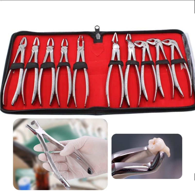 10Pcs Stainless Steel Dental Extraction Forceps Pliers Kit for Adult ...