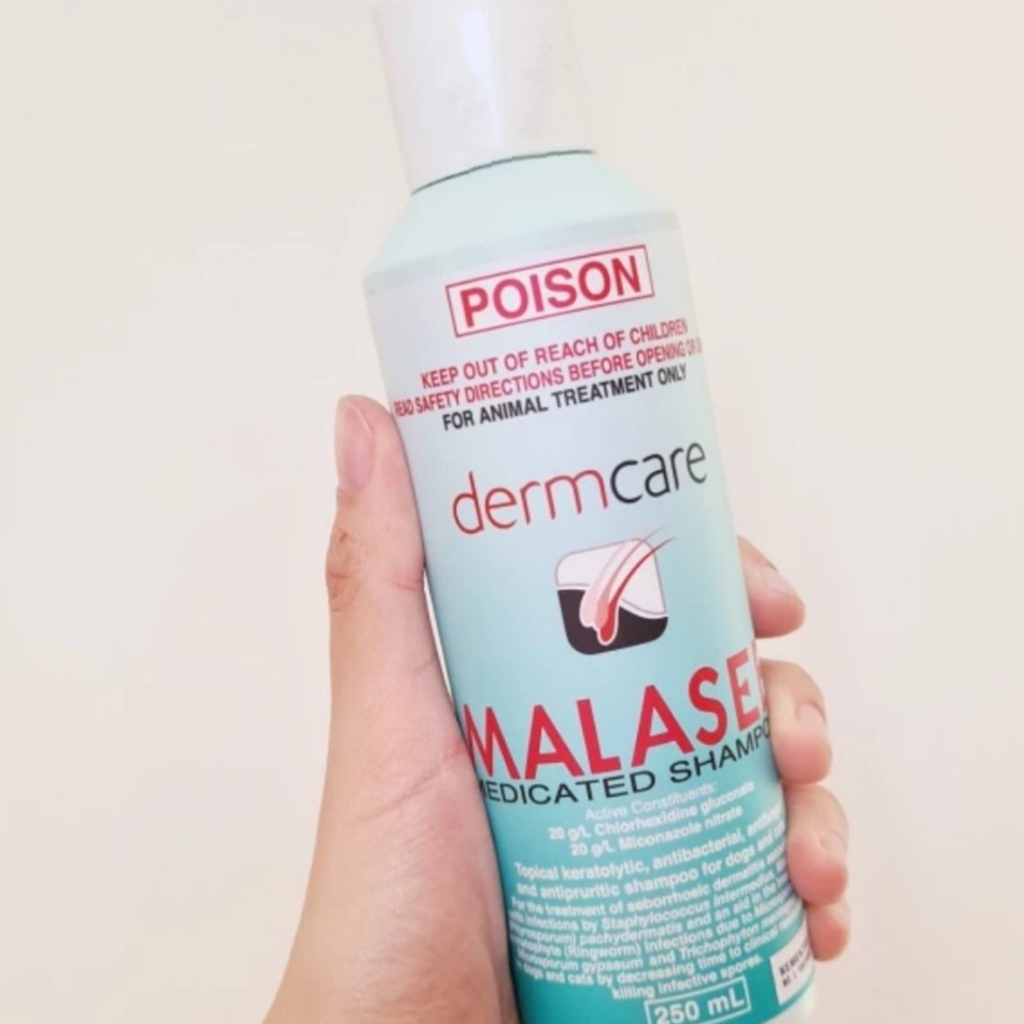 Medicated Shampoo Malaseb (250ml) for Dog Cat Antifungal Skin Infection ...