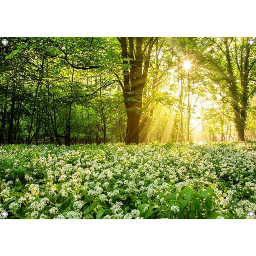 7x5ft Sunlit Forest Backdrops Banner Serene Woodland Scenery Photography Background Green Forest ...