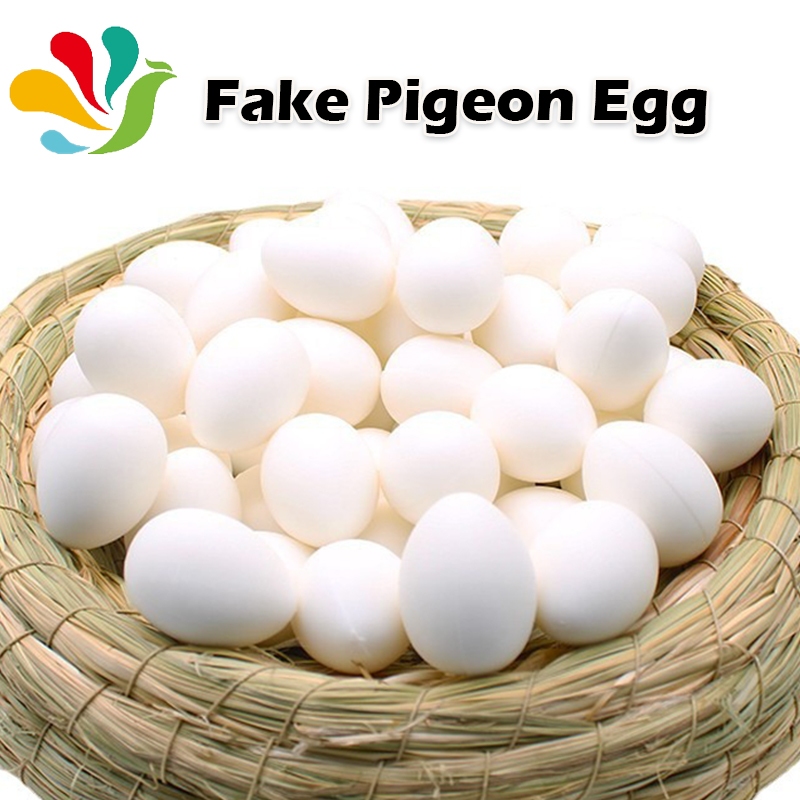 10Pcs Fake Egg Dummy Egg for Pigeon Plastic Solid Eggs Simulation Bird ...