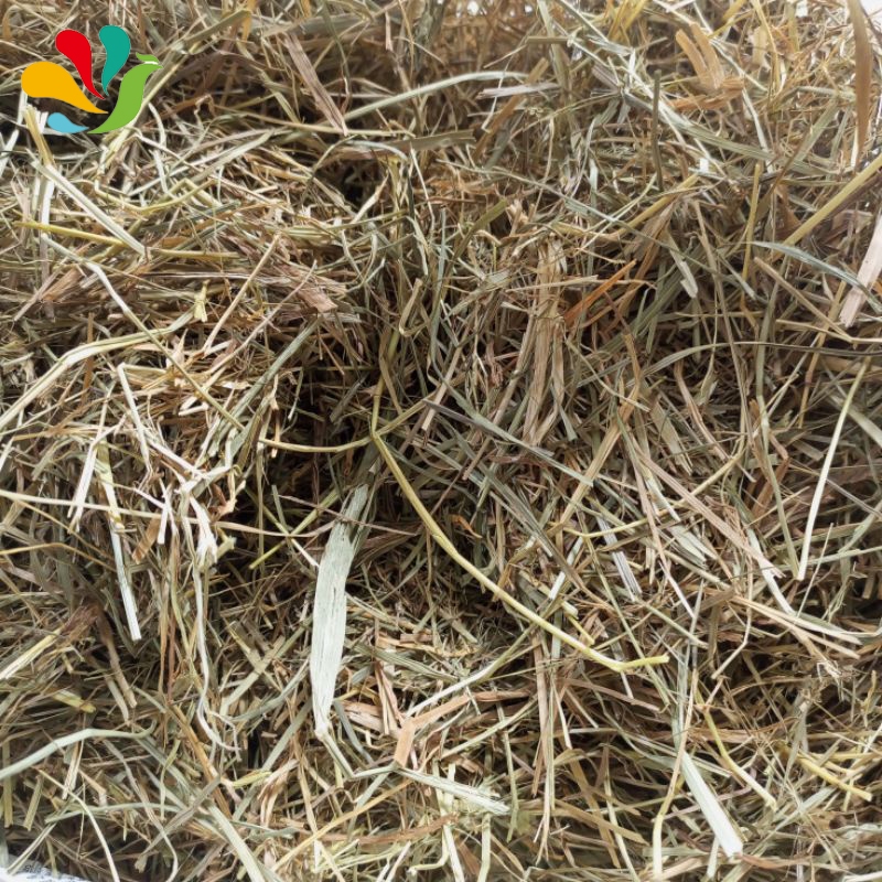 Bird Nest Hay Bird Nesting Material Bird Nest Box Bedding Grass Fiber ...