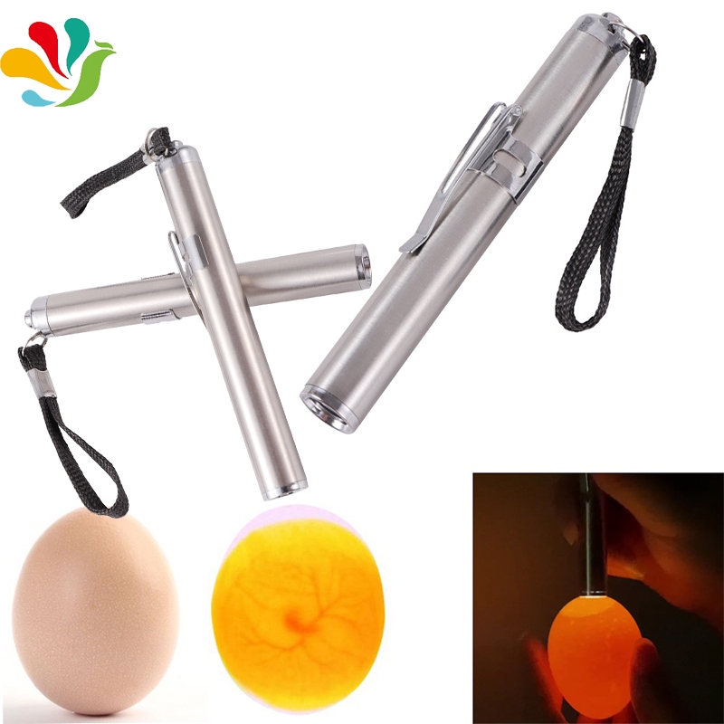 Incubator Eggtester Egg Candling Lamp LED Super Cold Equipment ...