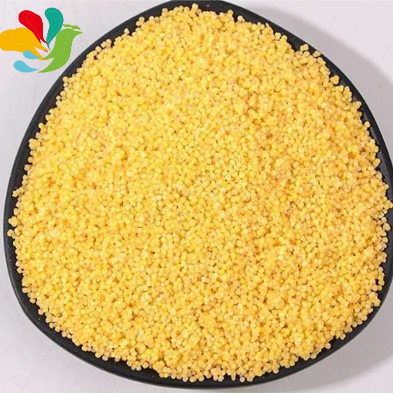 Bird Yellow Millet Seed Parrot Food Spirulina Egg Millet for Cockatiel ...
