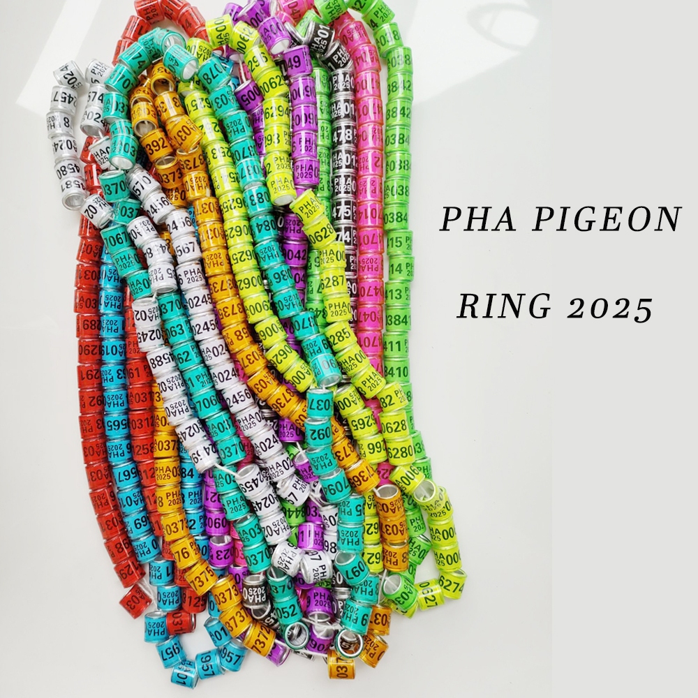 50Pcs PHA Pigeon Foot Rings 2025 8mm Pigeons Ring Serial Number 10 ...