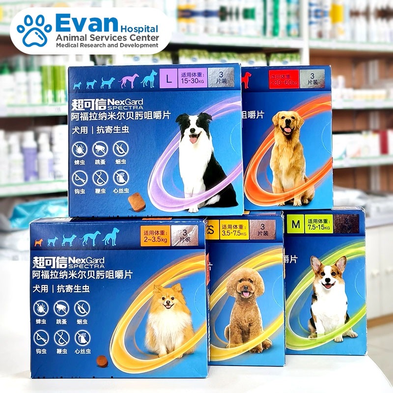 Nexgard Spectra Anthelmintic for Dogs Internal Pet Puppies Golden ...