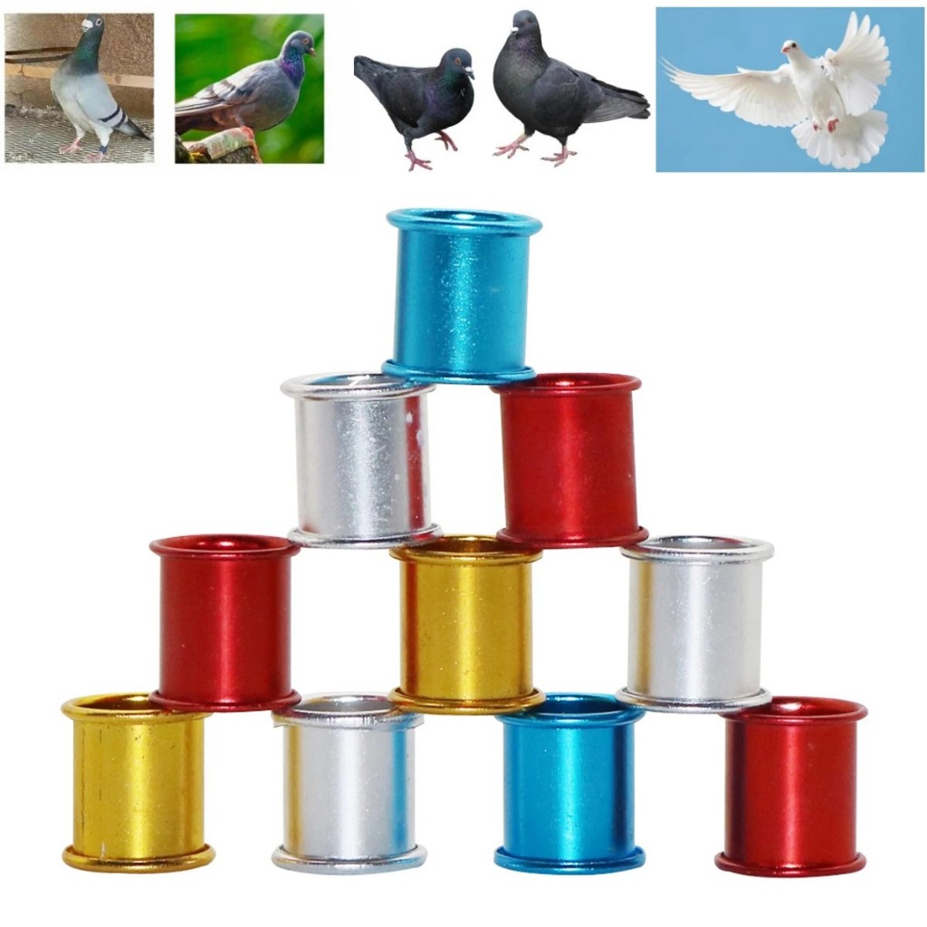 Colored Aluminum Pigeon Foot Ring Without Words Inner Diameter 8mm ...