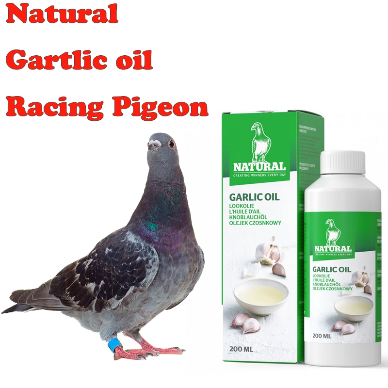 Natural Garlic Oil for Racing Pigeon Improve health keep condition ...