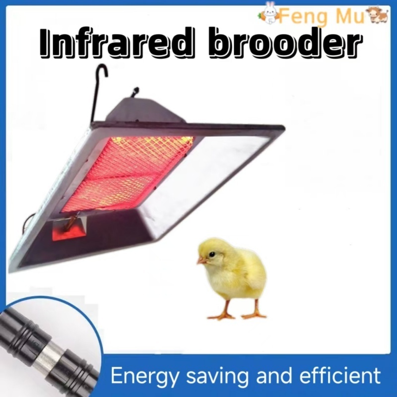 1 Pc Heater Brooder Chicken Coop Gas Brooder Infrared Poultry Gas ...