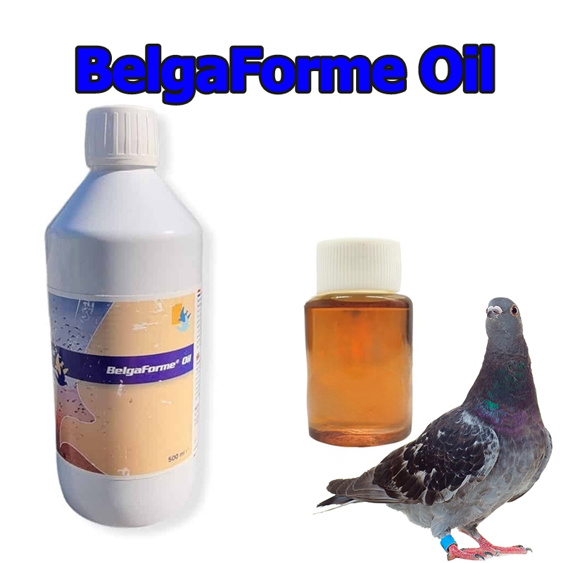 Belgica De Weerd BelgaForme Oil Pigeon Ideal oil Racing pigeon breeding ...
